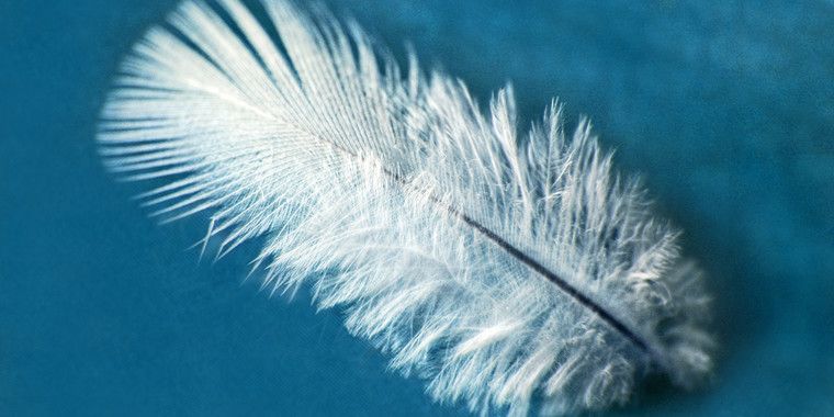 Join the Soft Photo Contest and win Sony 4K Action Cam - VIEWBUG.com